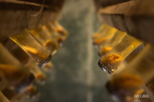 What is Cava wine and how is it made? - Sure wine not