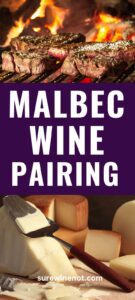 Malbec wine: A comprehensive guide | Pairing - Sure wine not